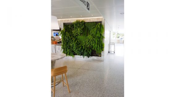 Mur végétal HUG - construction exotique