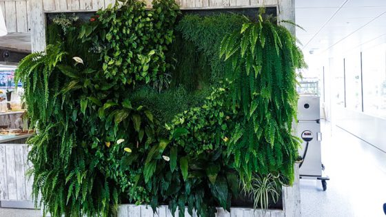 Mur végétal HUG - construction exotique